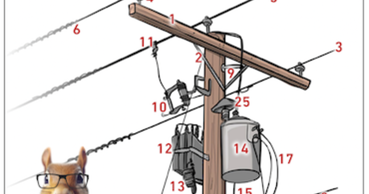 What's on a Utility Pole? | Treated Wood